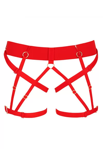 Wetlook vinyl Harness and Bondage | A Mes Amours